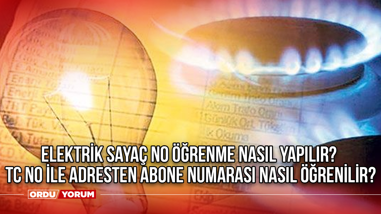 Elektrik sayaç no öğrenme nasıl yapılır? TC no ile Adresten abone ...