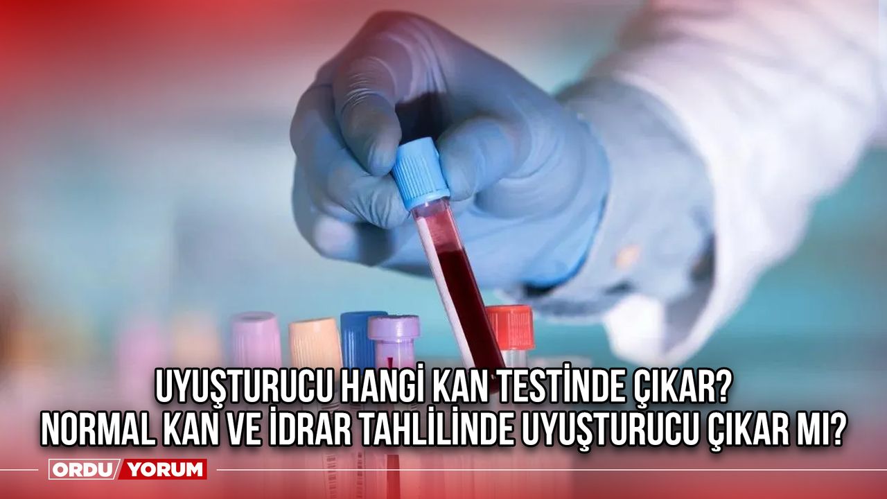 Uyuşturucu hangi kan testinde çıkar? Normal kan ve idrar tahlilinde ...