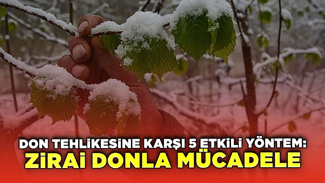 Don Tehlikesine Karşı 5 Etkili Yöntem: Zirai Donla Mücadele