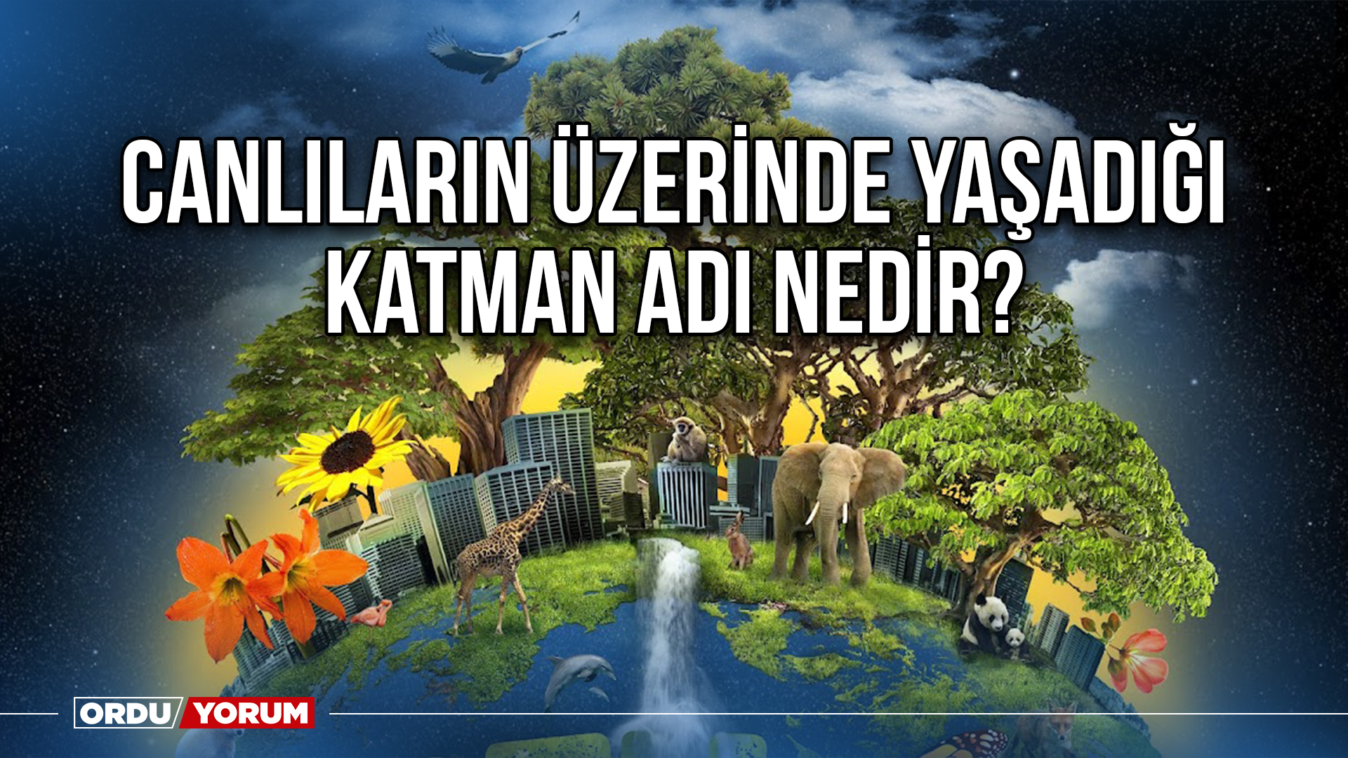 Canlıların üzerinde yaşadığı katman adı nedir?