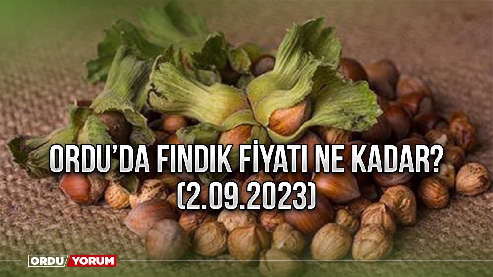 Ordu'da Fındık Fiyatı Ne Kadar? (2.08.2023) - Ordu Yorum
