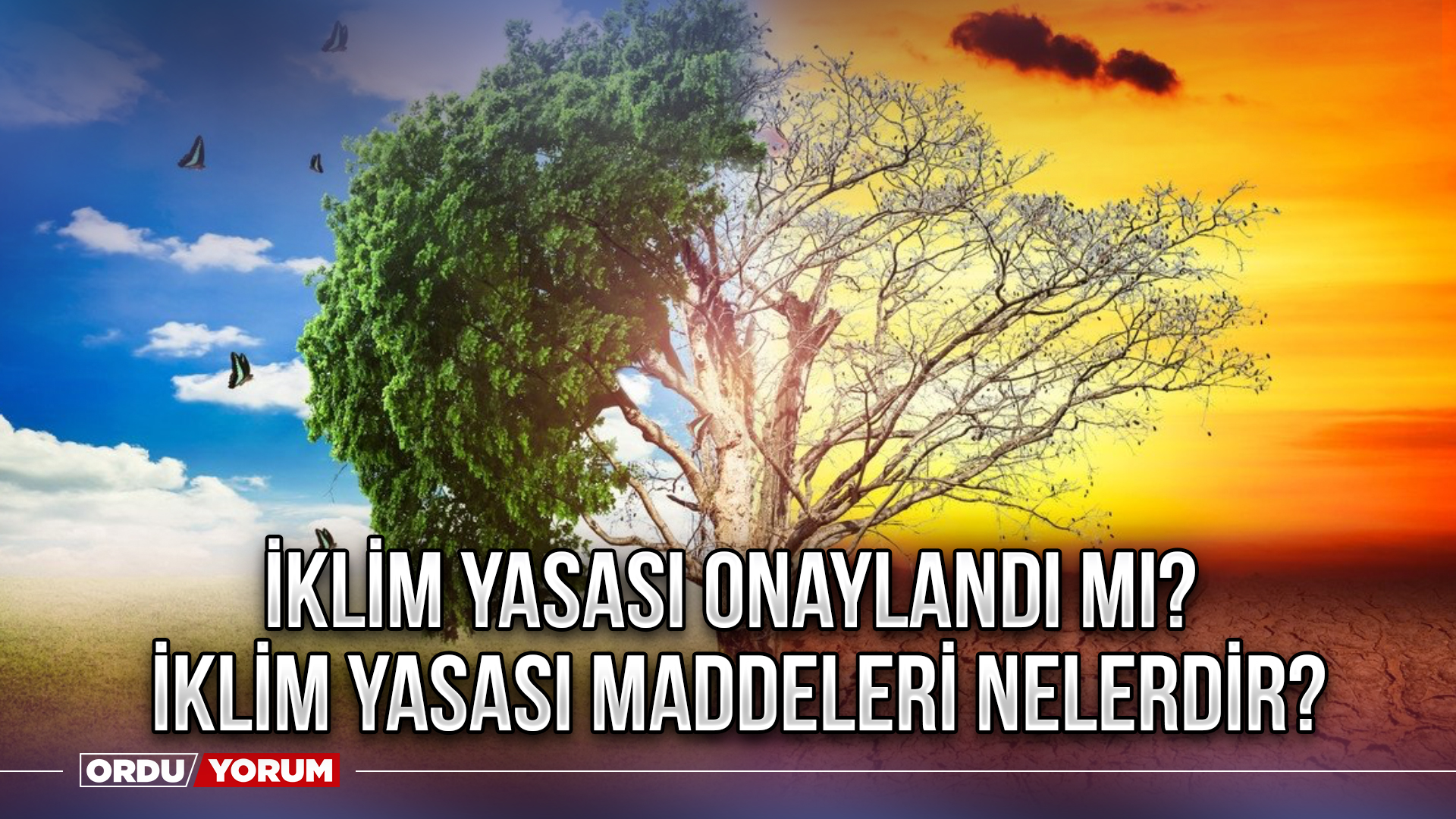 İklim yasası onaylandı mı? İklim yasası maddeleri nelerdir?