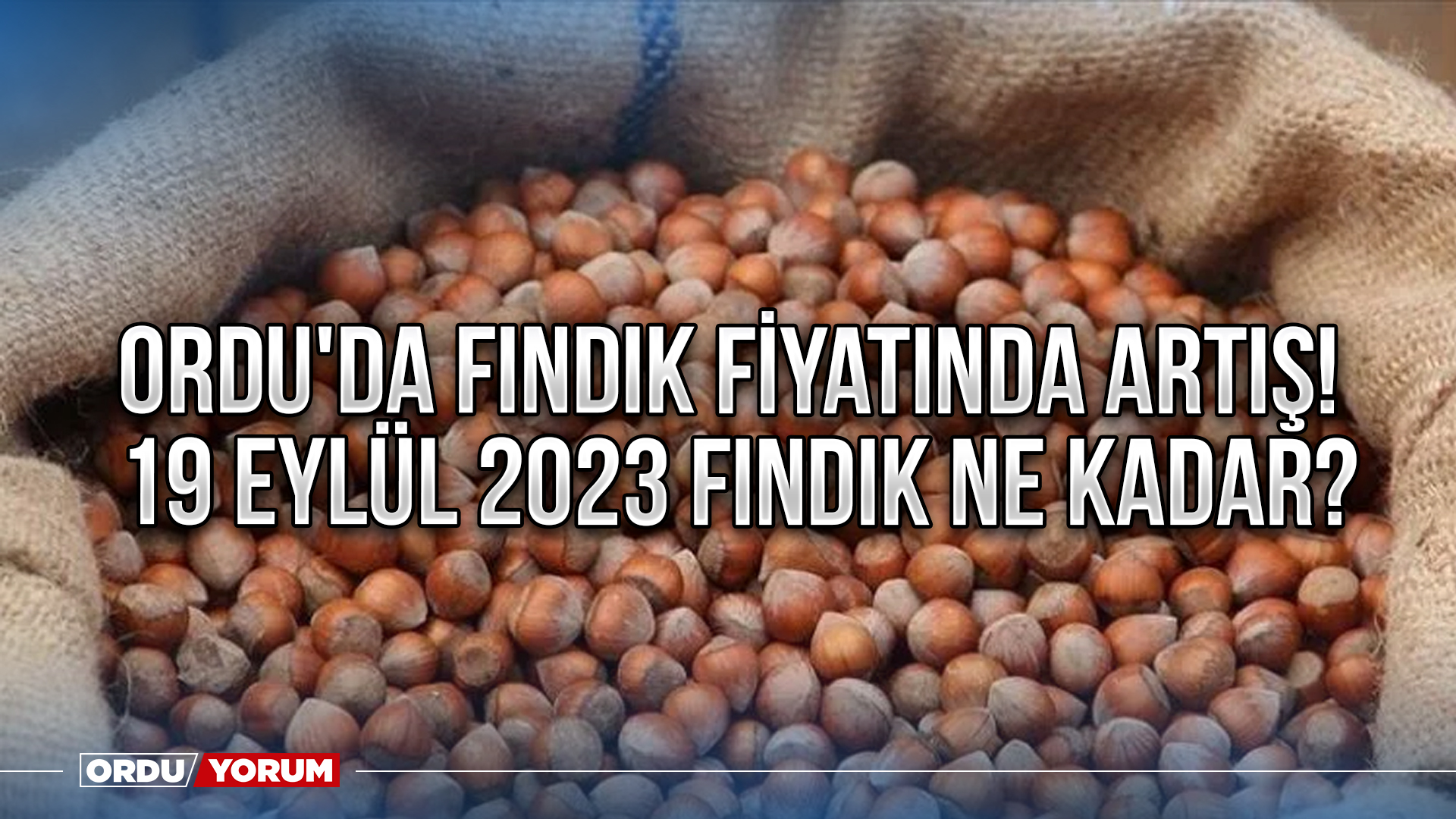 Ordu'da fındık fiyatında artış! 19 Eylül 2023 fındık ne kadar? - Ordu ...