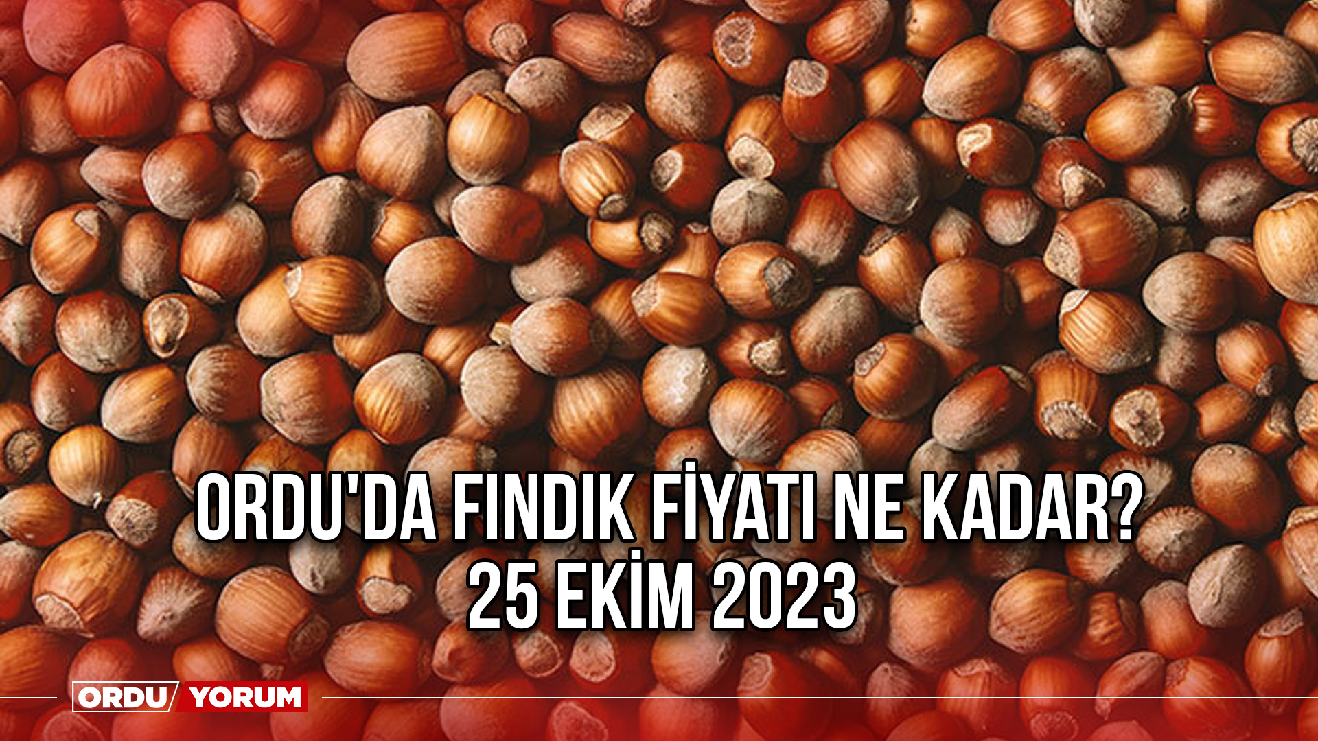 Ordu'da fındık fiyatı ne kadar? 25 Ekim 2023 - Ordu Yorum