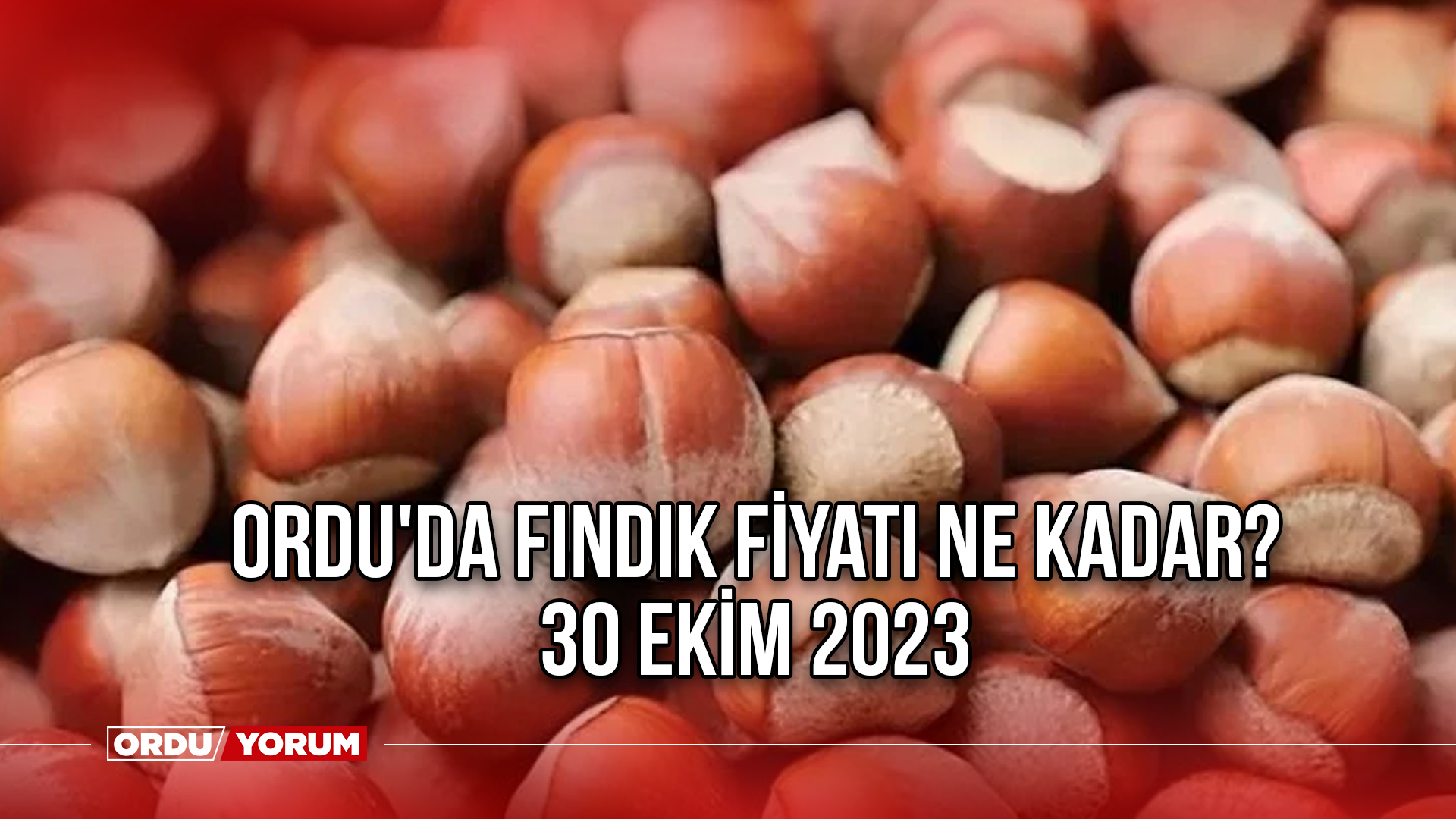 Ordu'da fındık fiyatı ne kadar? 30 Ekim 2023 - Ordu Yorum