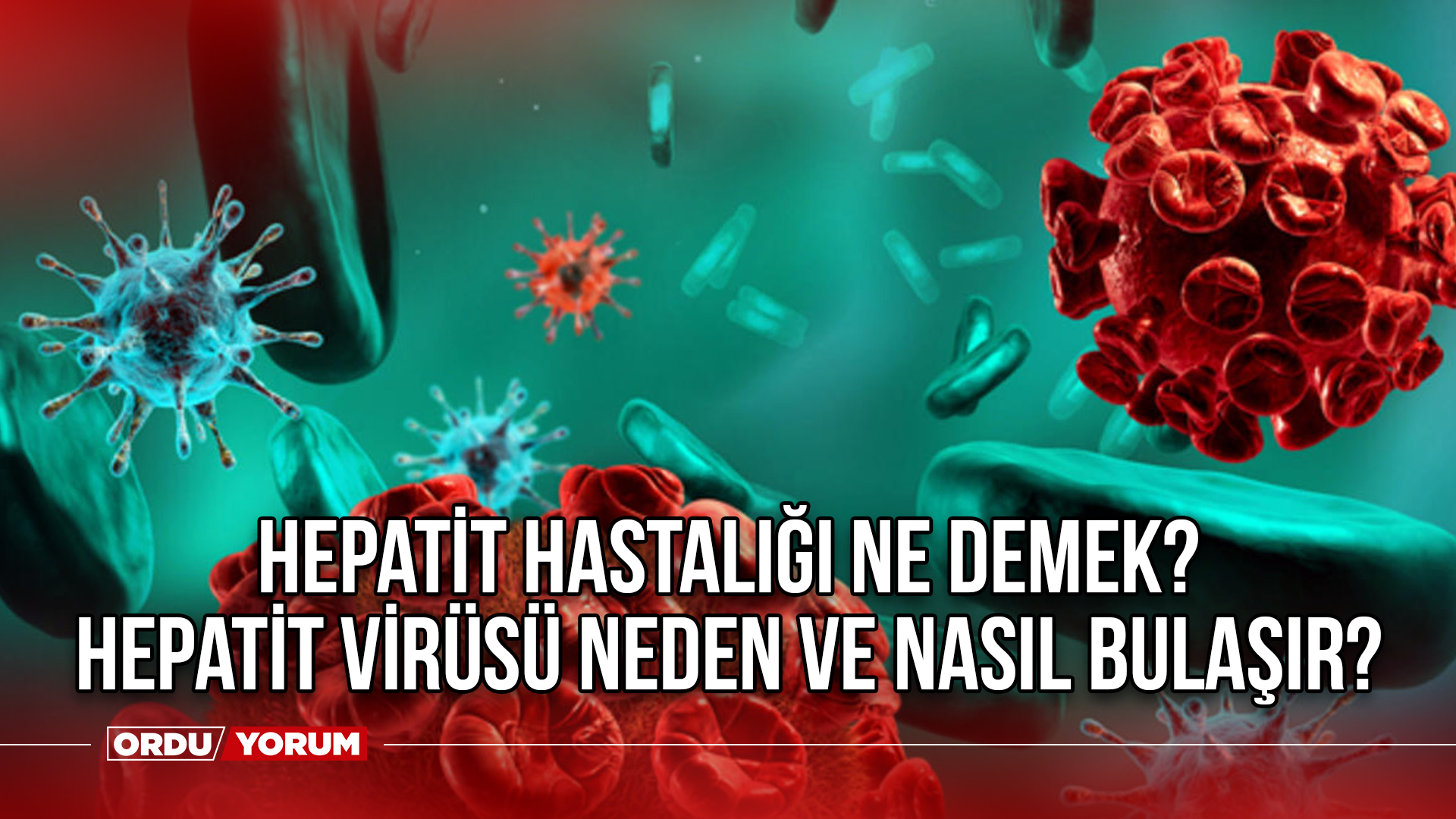 Hepatit hastalığı ne demek? Hepatit virüsü neden ve nasıl bulaşır ...