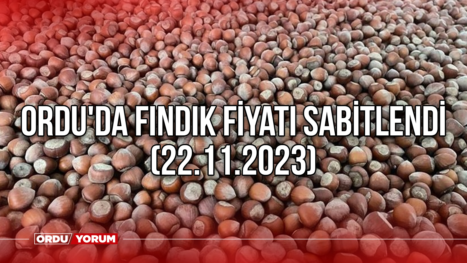 Ordu'da fındık fiyatı sabitlendi - İl il fındık fiyatı - Ordu, Samsun ...