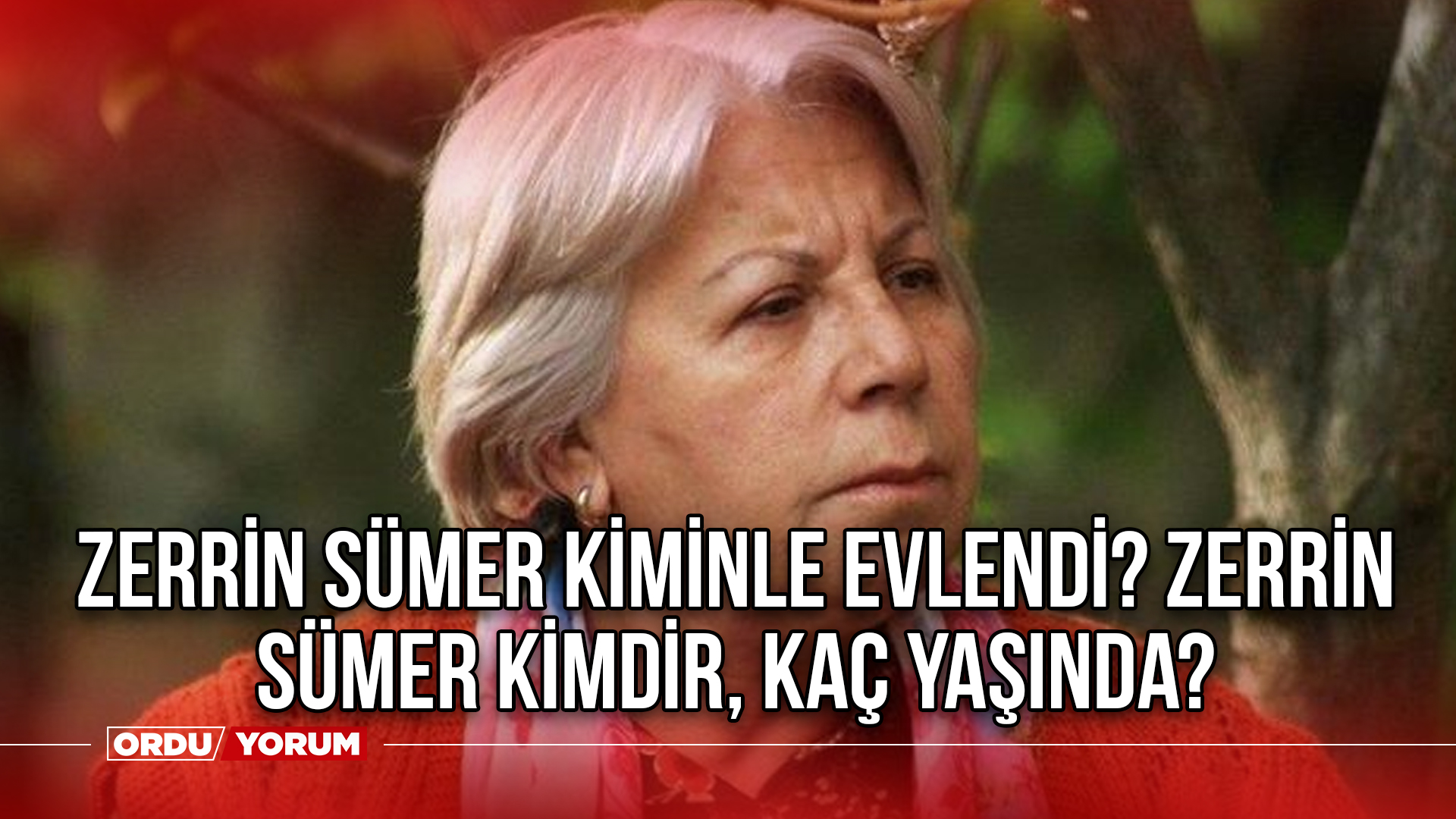 Zerrin Sümer kiminle evlendi? Zerrin Sümer kimdir, kaç yaşında? - Ordu ...