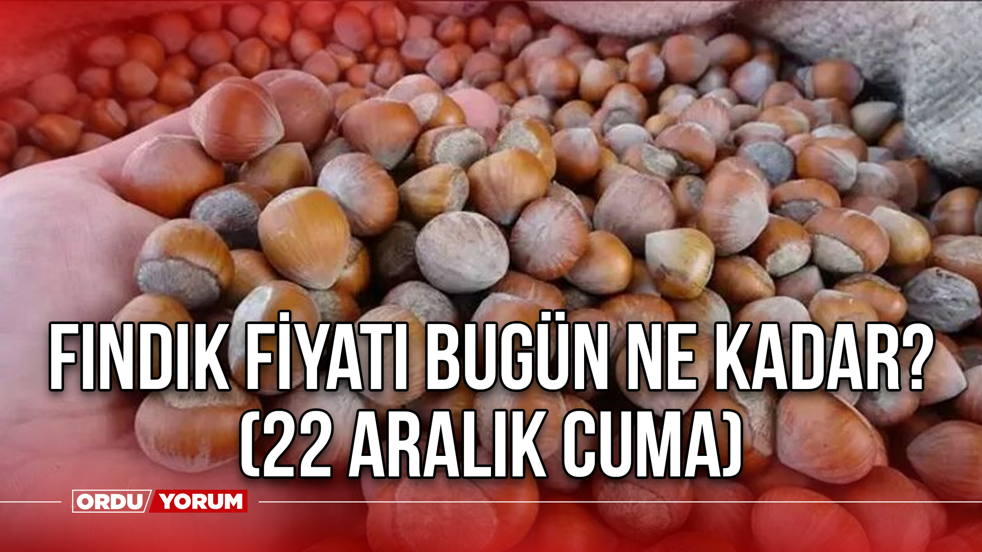 Fındık Fiyatı Bugün Ne Kadar? (22 Aralık Cuma) Ordu ve Giresun'da ...