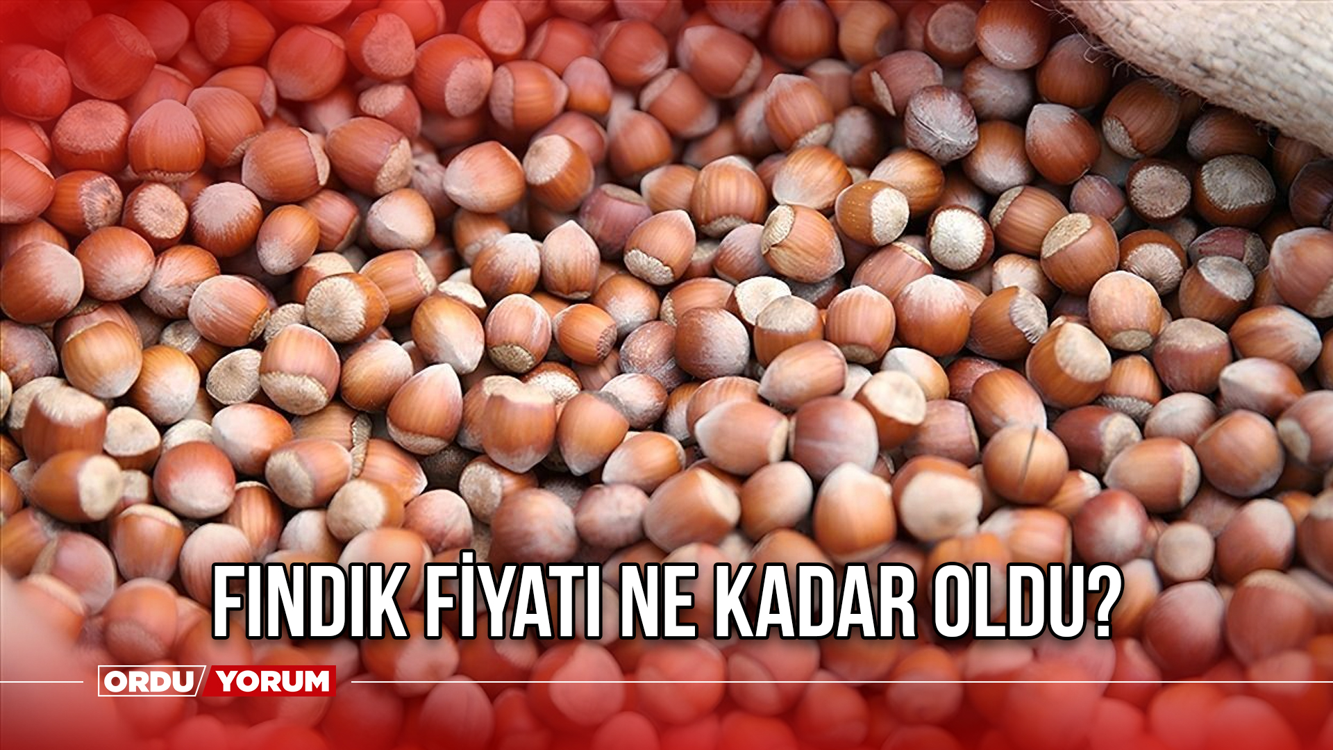 1 kilo fındık kaç TL? (8 Mart Cuma) Giresun, Trabzon'da fındık fiyatı ...