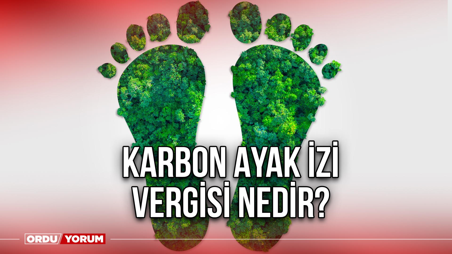 Karbon Ayak İzi Vergisi Nedir? - Ordu Yorum