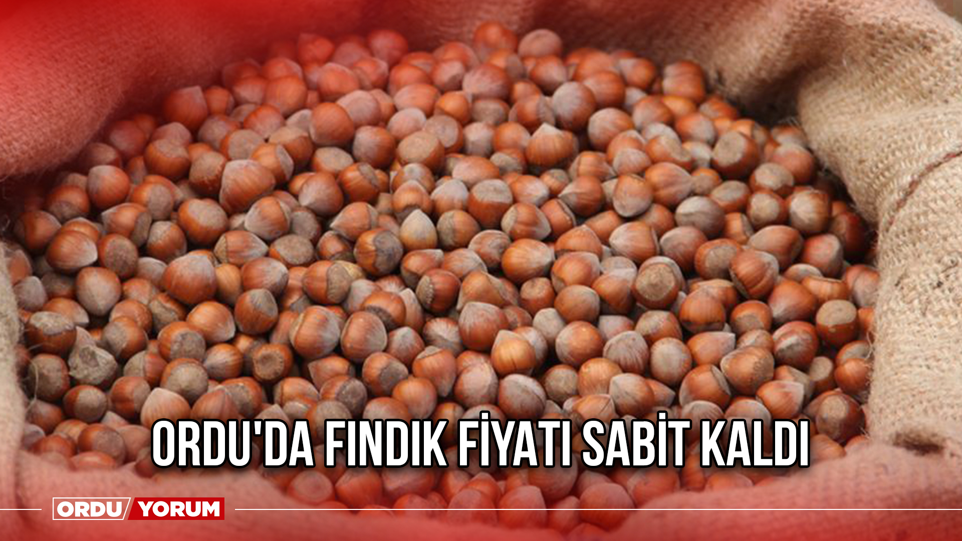 Ordu'da Fındık Fiyatı Sabit Kaldı - Ordu Yorum