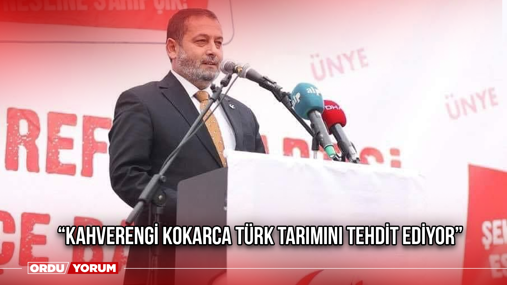 “Kahverengi Kokarca Türk Tarımını Tehdit Ediyor” - Ordu Yorum