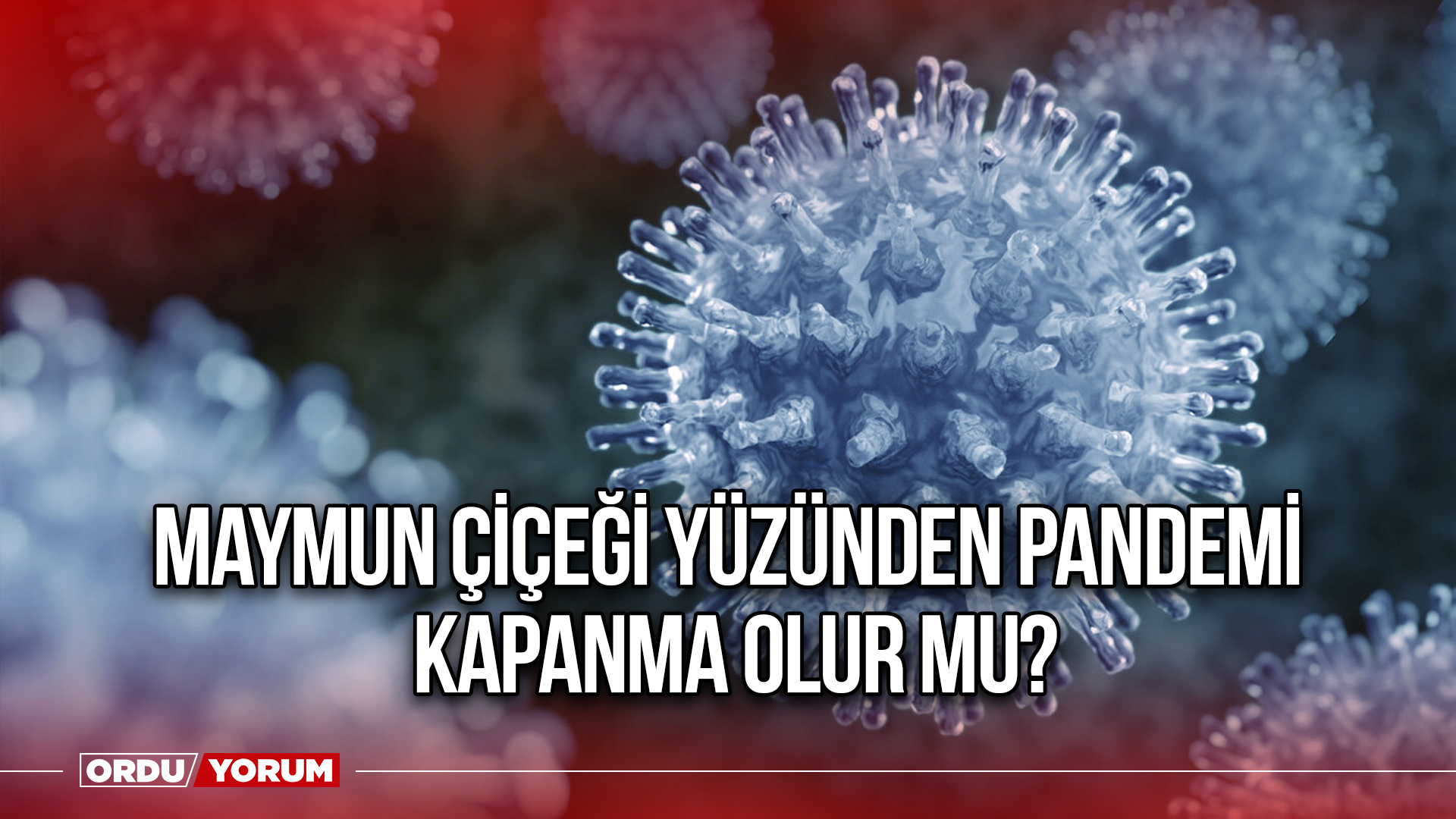 Maymun Çiçeği yüzünden pandemi kapanma olur mu?