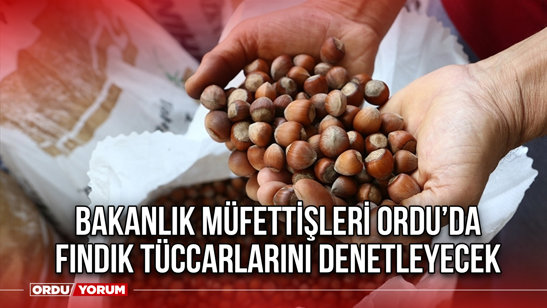 Bakanlık Müfettişleri Ordu’da Fındık Tüccarlarını Denetleyecek - Ordu Yorum