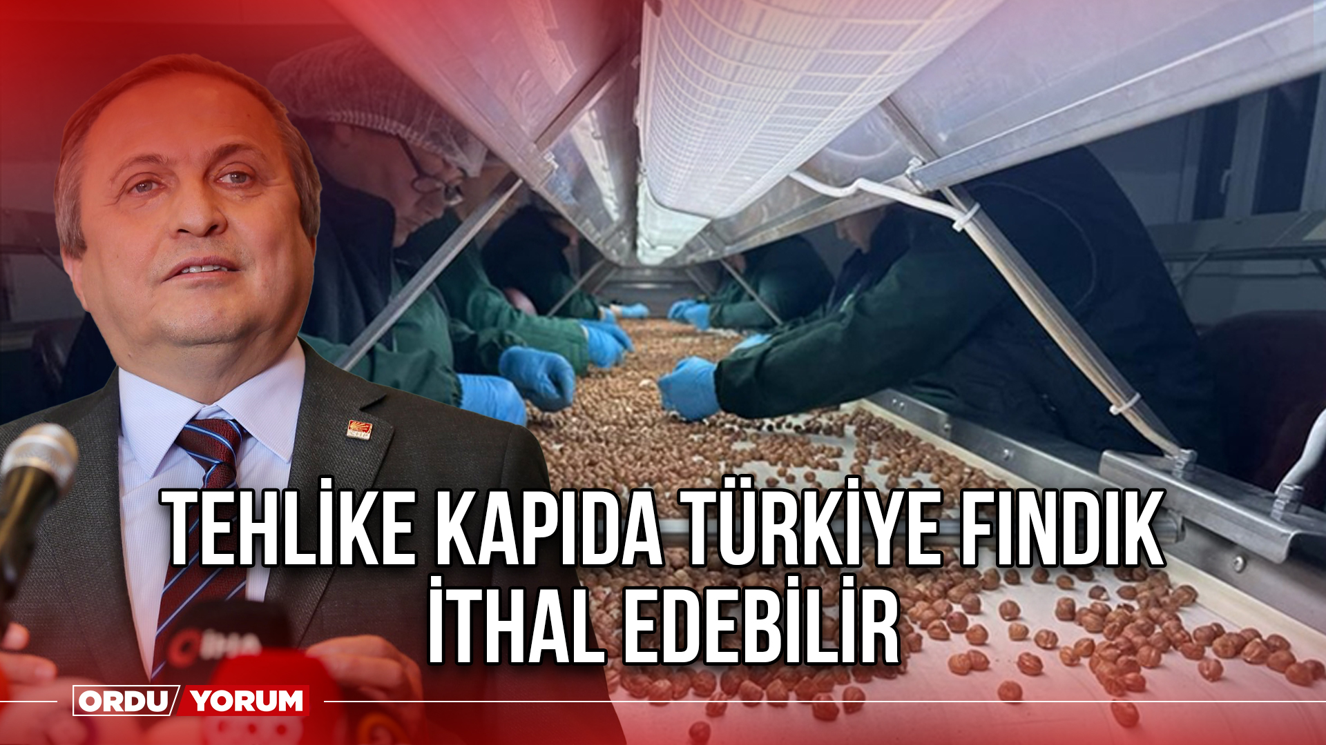 Tehlike Kapıda Türkiye Fındık İthal Edebilir - Ordu Yorum