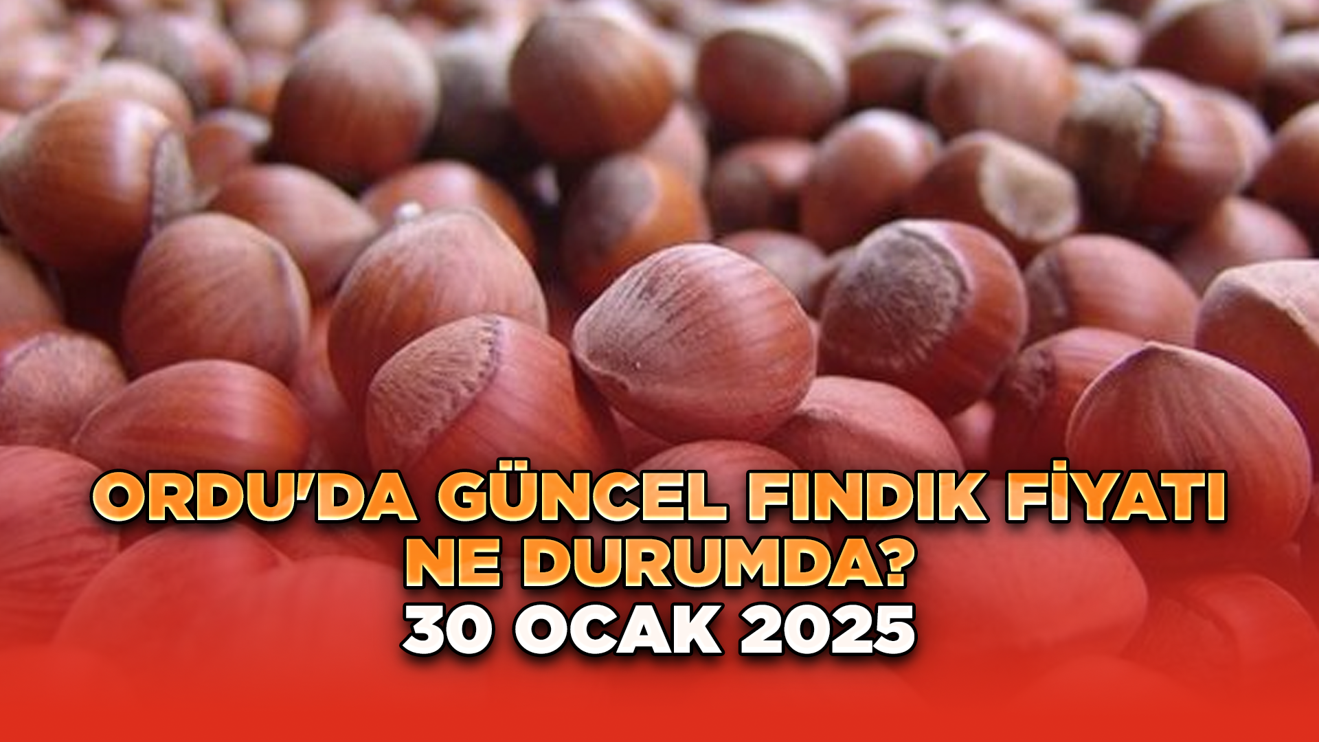 Ordu'da güncel fındık fiyatı ne durumda? 30 Ocak 2025 - Ordu Yorum