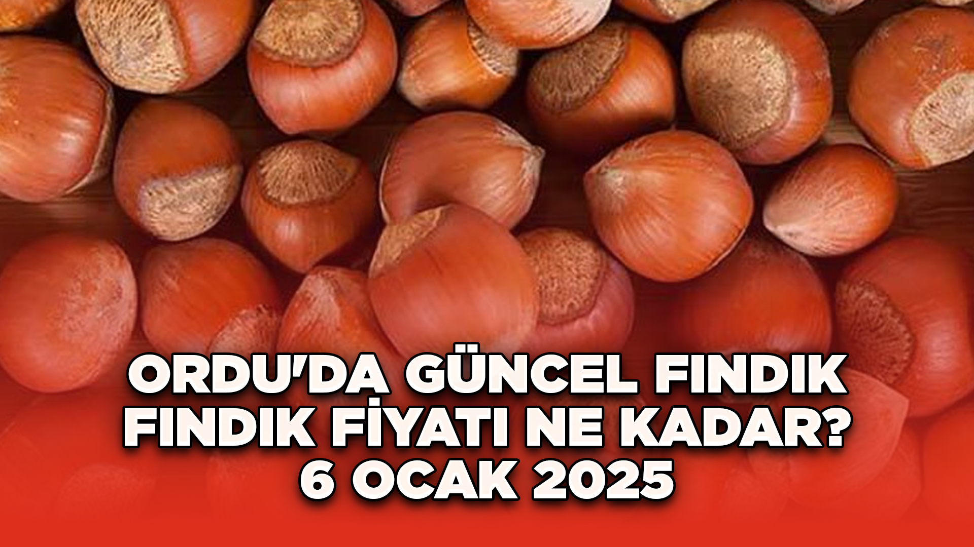 Ordu'da güncel fındık fiyatı ne kadar? 6 Ocak 2025 - Ordu Yorum