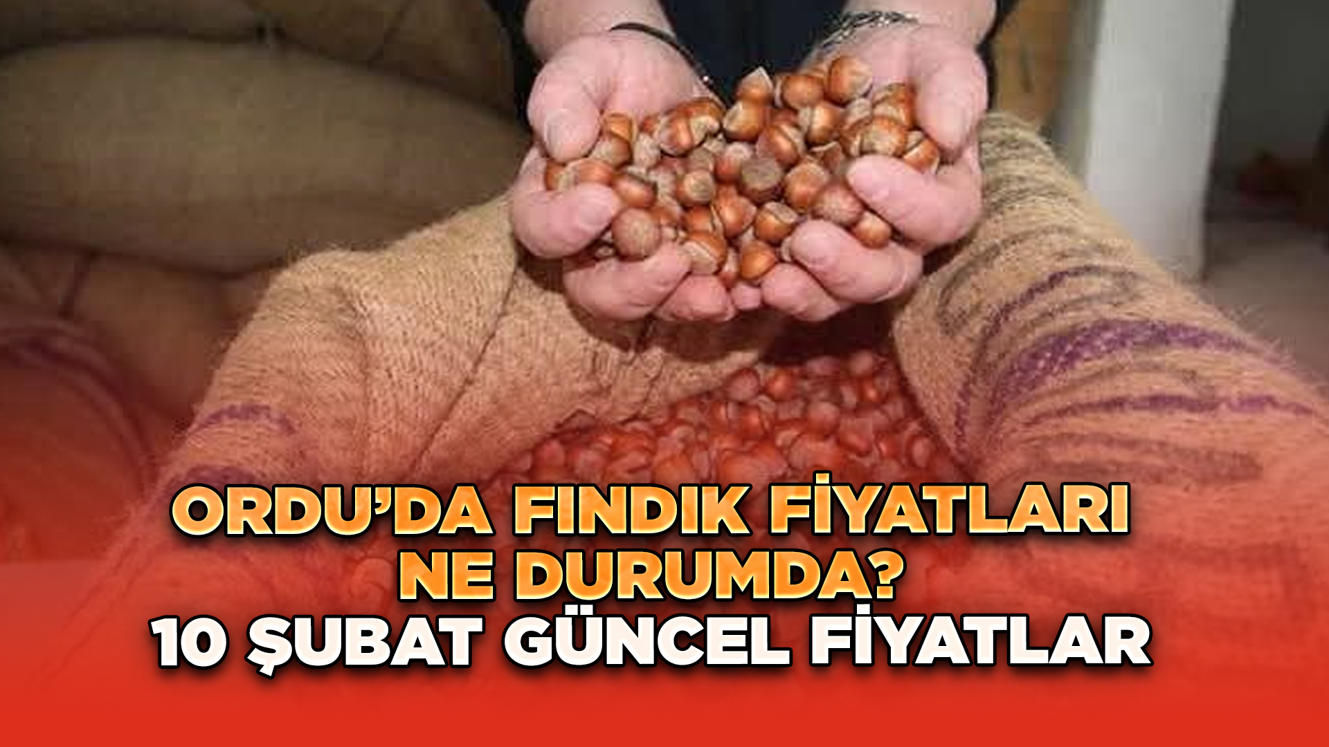 Ordu’da Fındık Fiyatları Ne Durumda? 10 Şubat Güncel Fiyatlar - Ordu Yorum