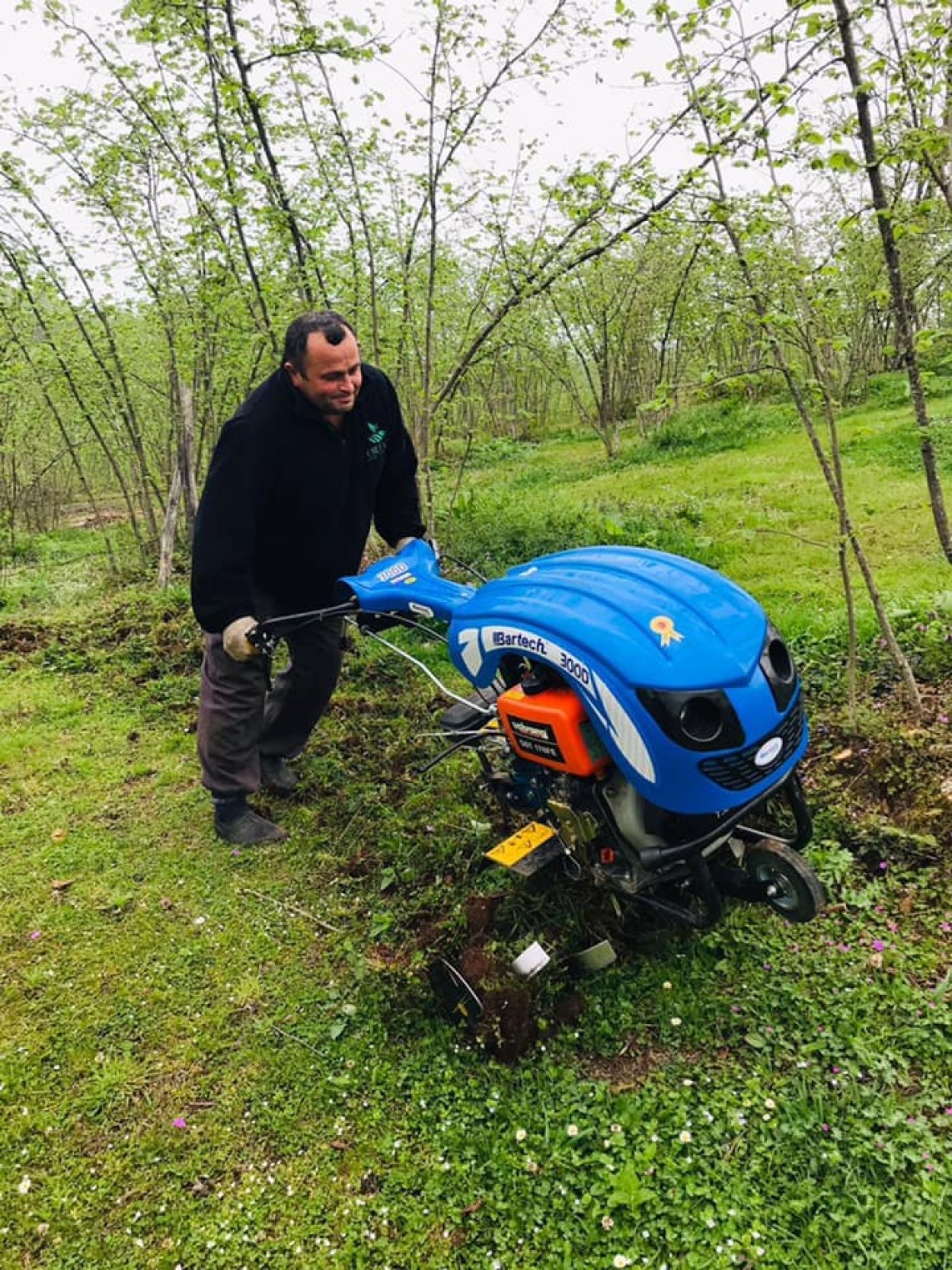 Atıl Fındık Bahçeleri Ekonomiye Kazandırılıyor - Ordu Yorum